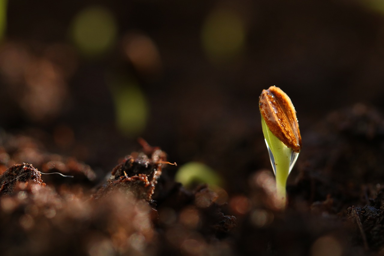 Recommended by the Lord: Lessons from Bezalel and Oholiab - Ela Koinonia